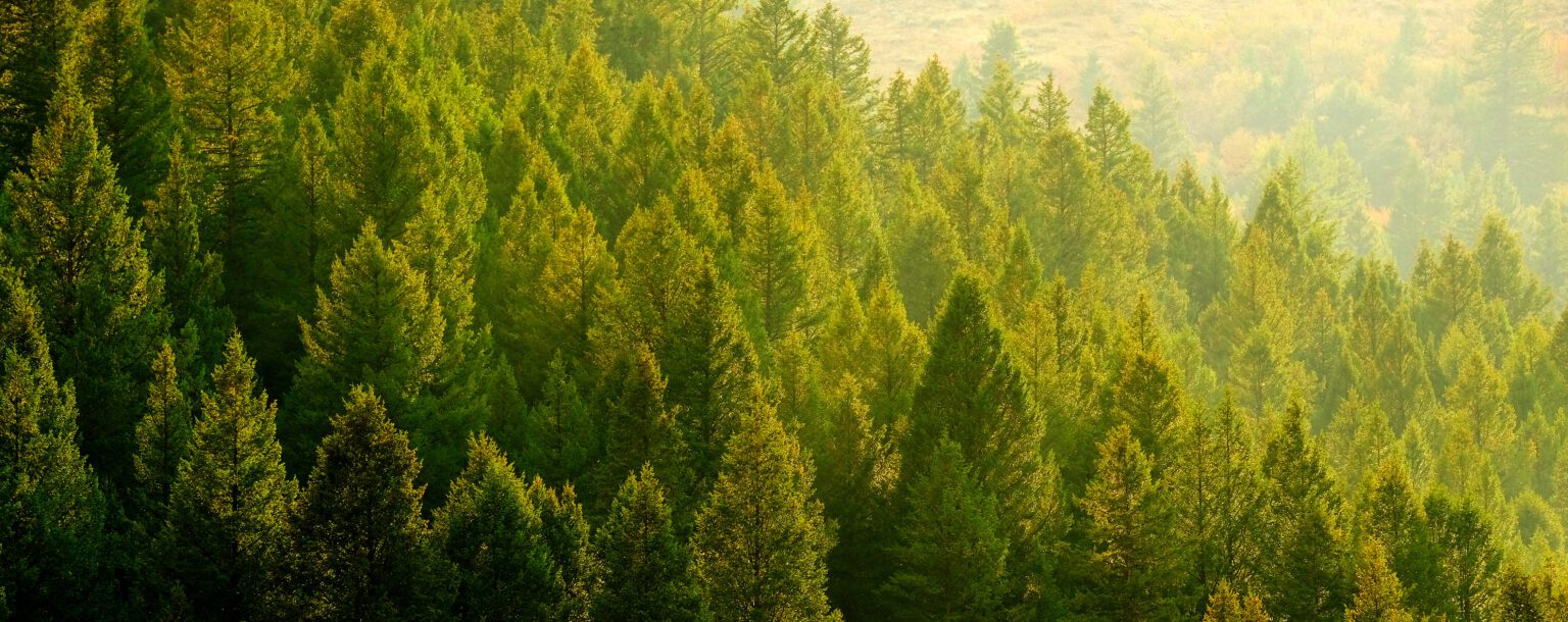 Introducing Acuity Intelligent Spaces to Improve Building Solutions